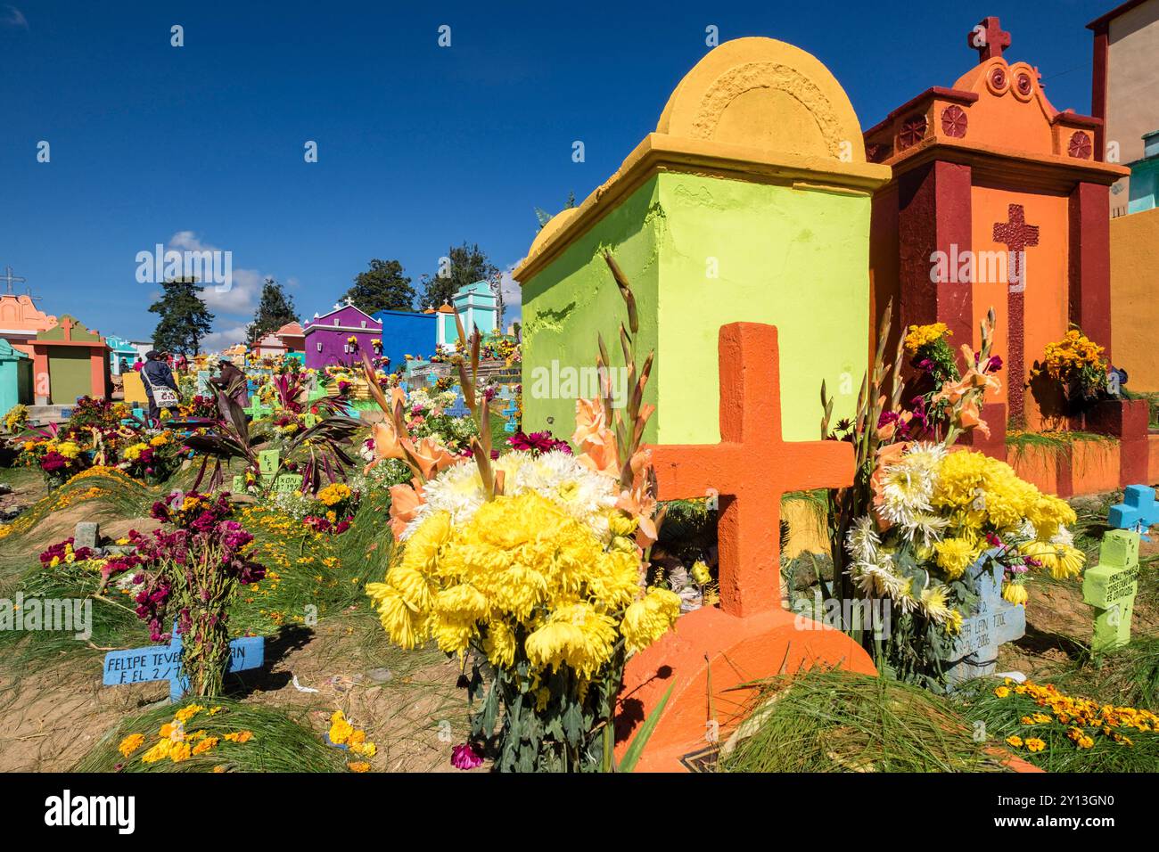 Freshly painted colorful graves, Day of the Dead celebration at the ...