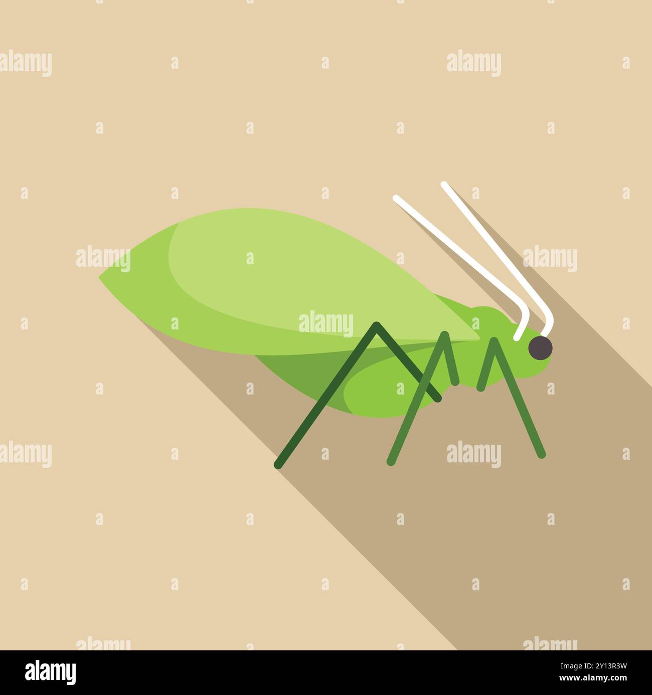 Simple vector illustration of a green cricket insect with long antennae ...