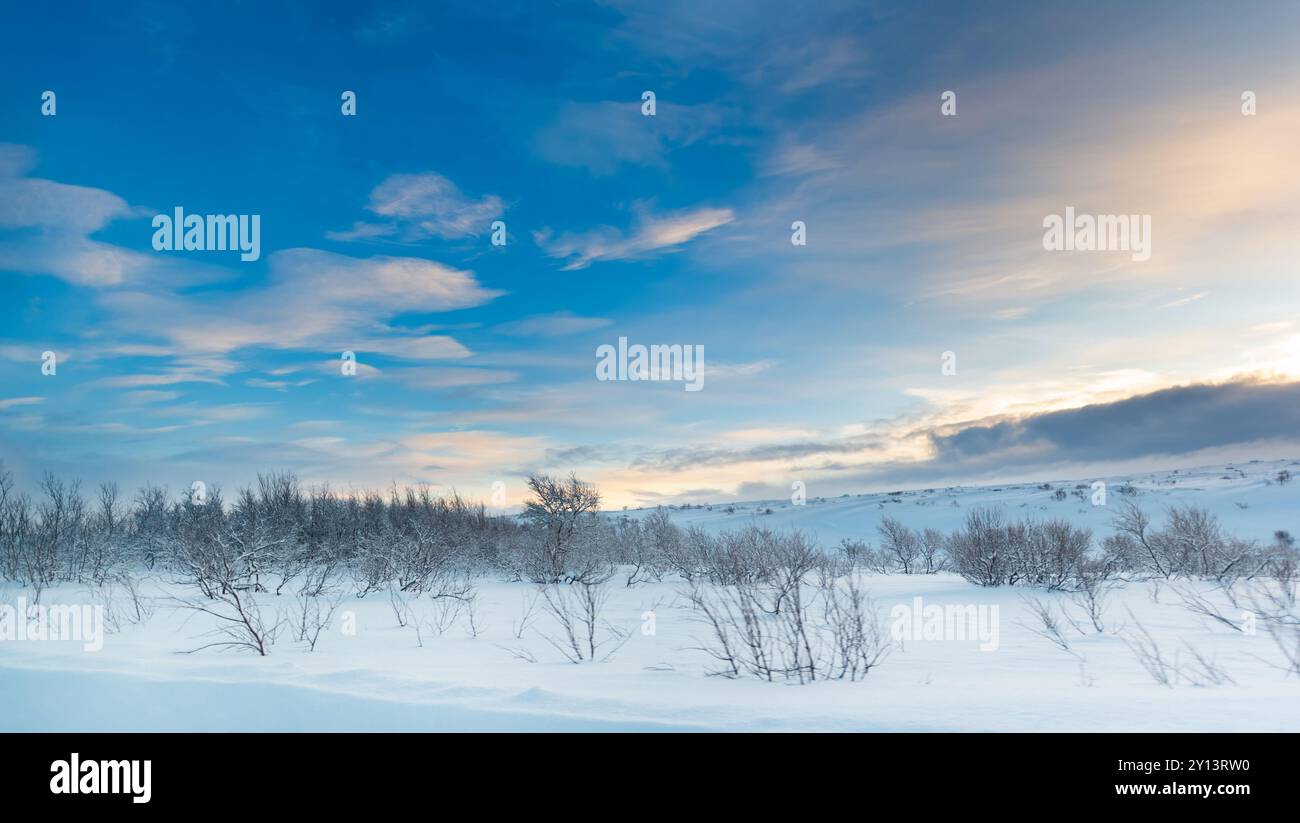 Arctic Tundra Winter Landscape Majestic Arctic Tundra With The