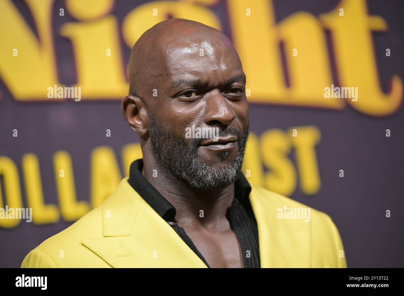 New York, USA. 04th Sep, 2024. Michael James Shaw attends the 'Fight ...