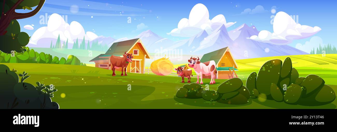 Cows and herd eating on pasture near farm barn, haystack and fence ...