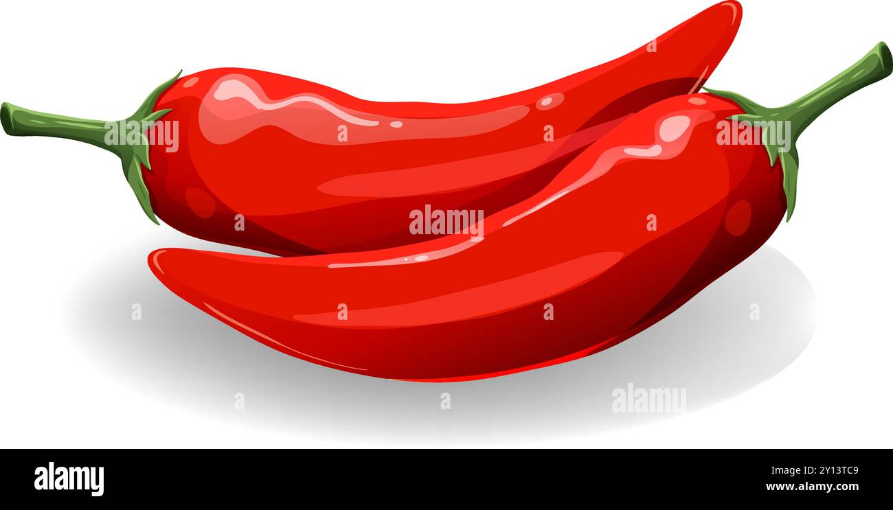 Two vibrant red chili peppers vector illustration Stock Vector Image ...