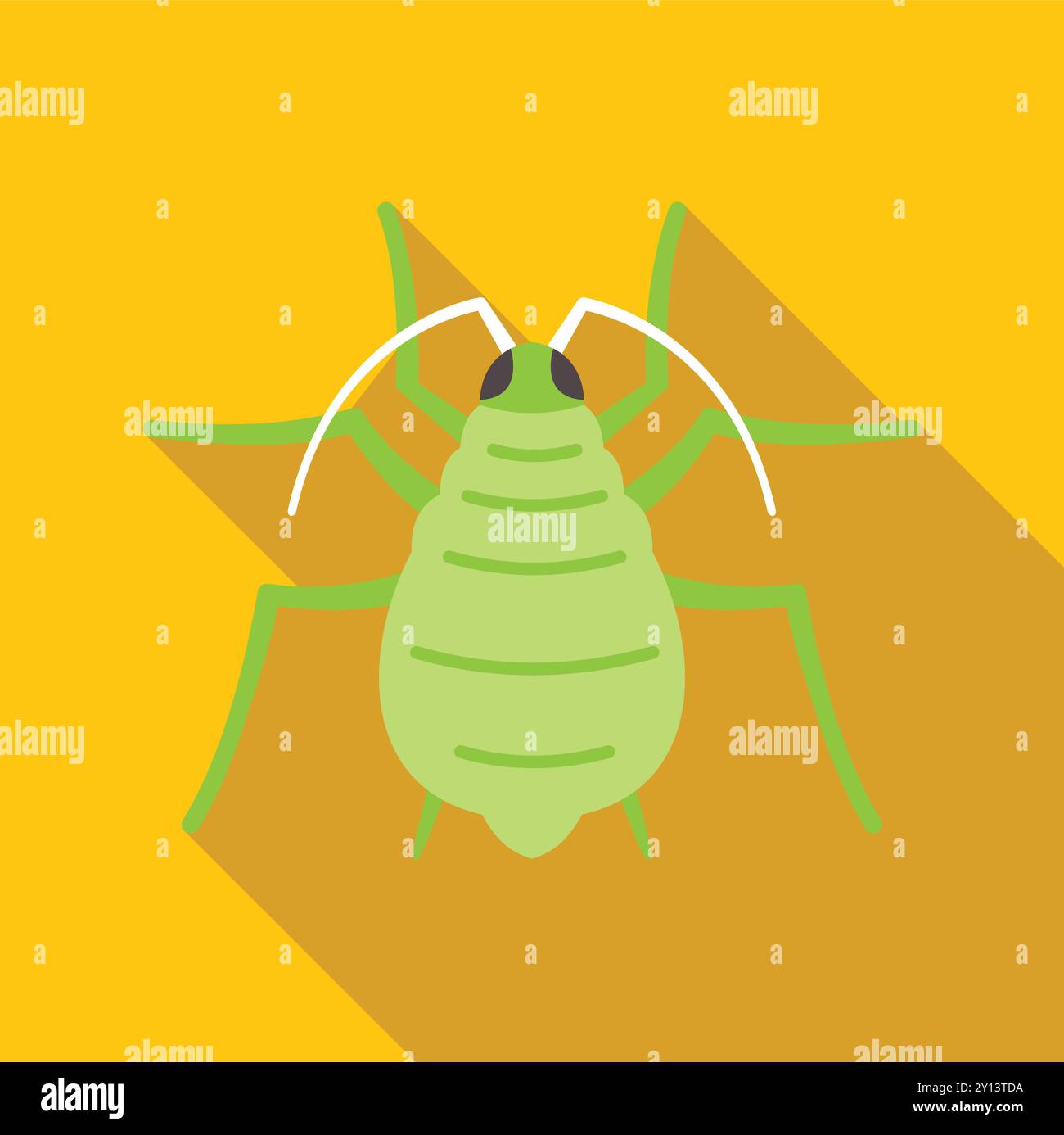 Green aphid insect pest with long antennae spreading its legs on a leaf ...