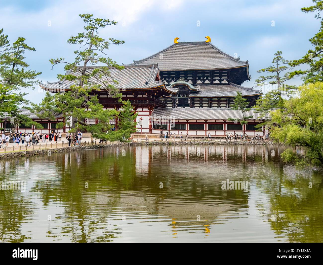 Nara Park with pond and deers, in Nara, Japan Stock Photo - Alamy