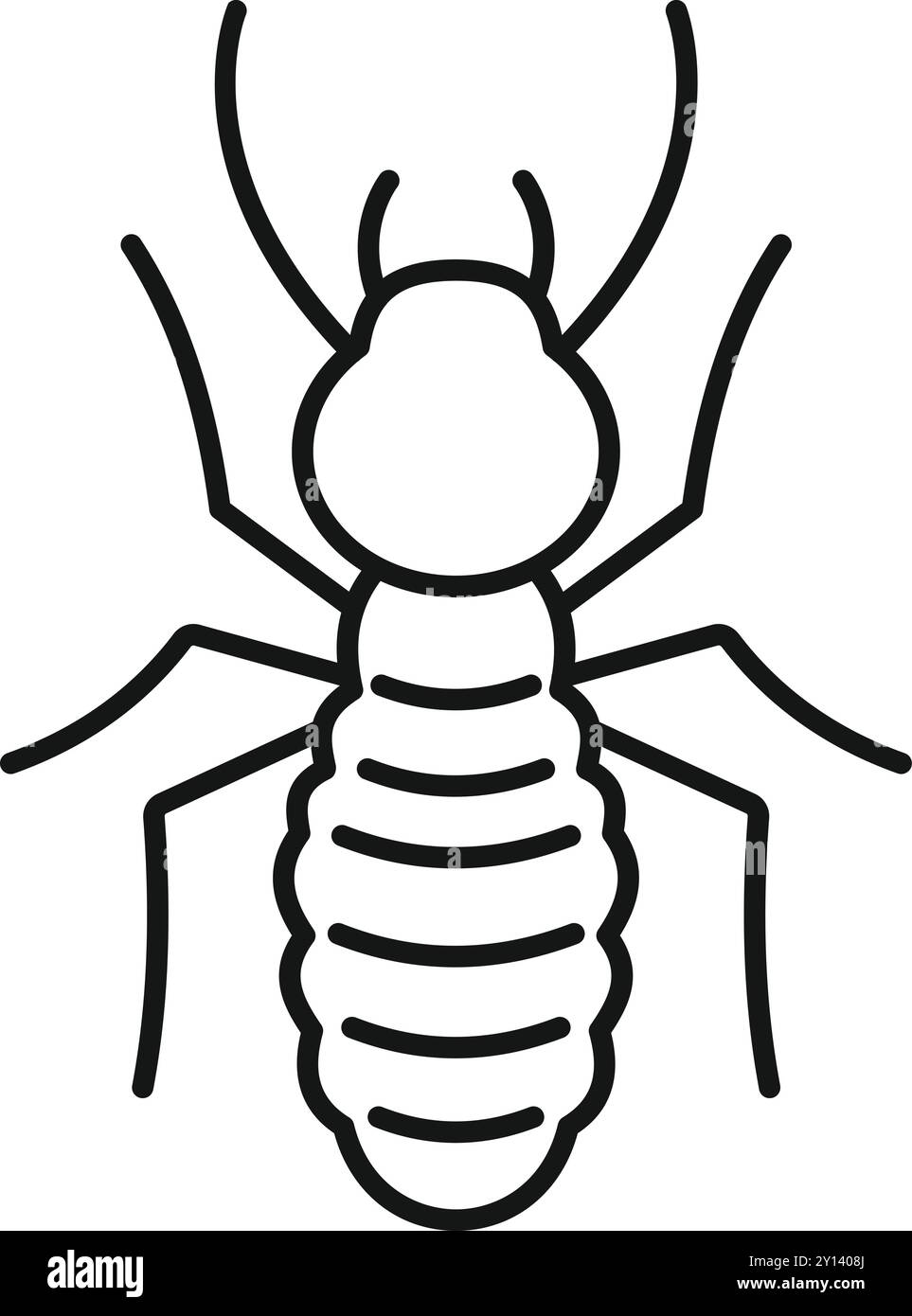 Big termite insect is spreading its legs, showing off its segmented ...