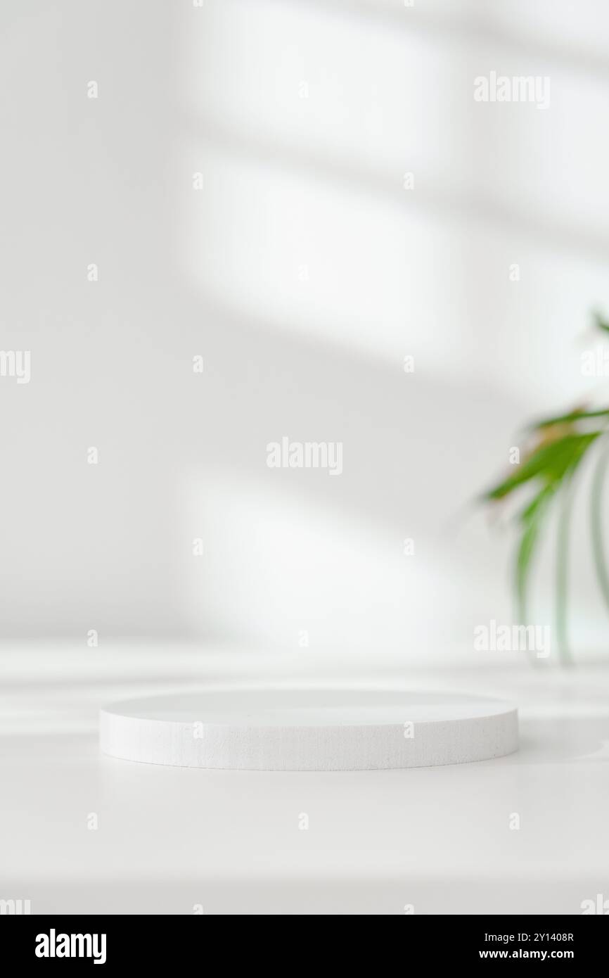 Minimalist White Round Display Stand Set Against Soft Natural Light ...
