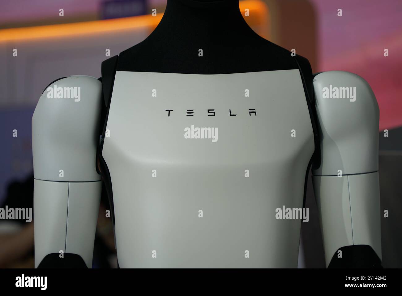 SHANGHAI, CHINA - SEPTEMBER 5, 2024 - Spectators look at Tesla's Core ...