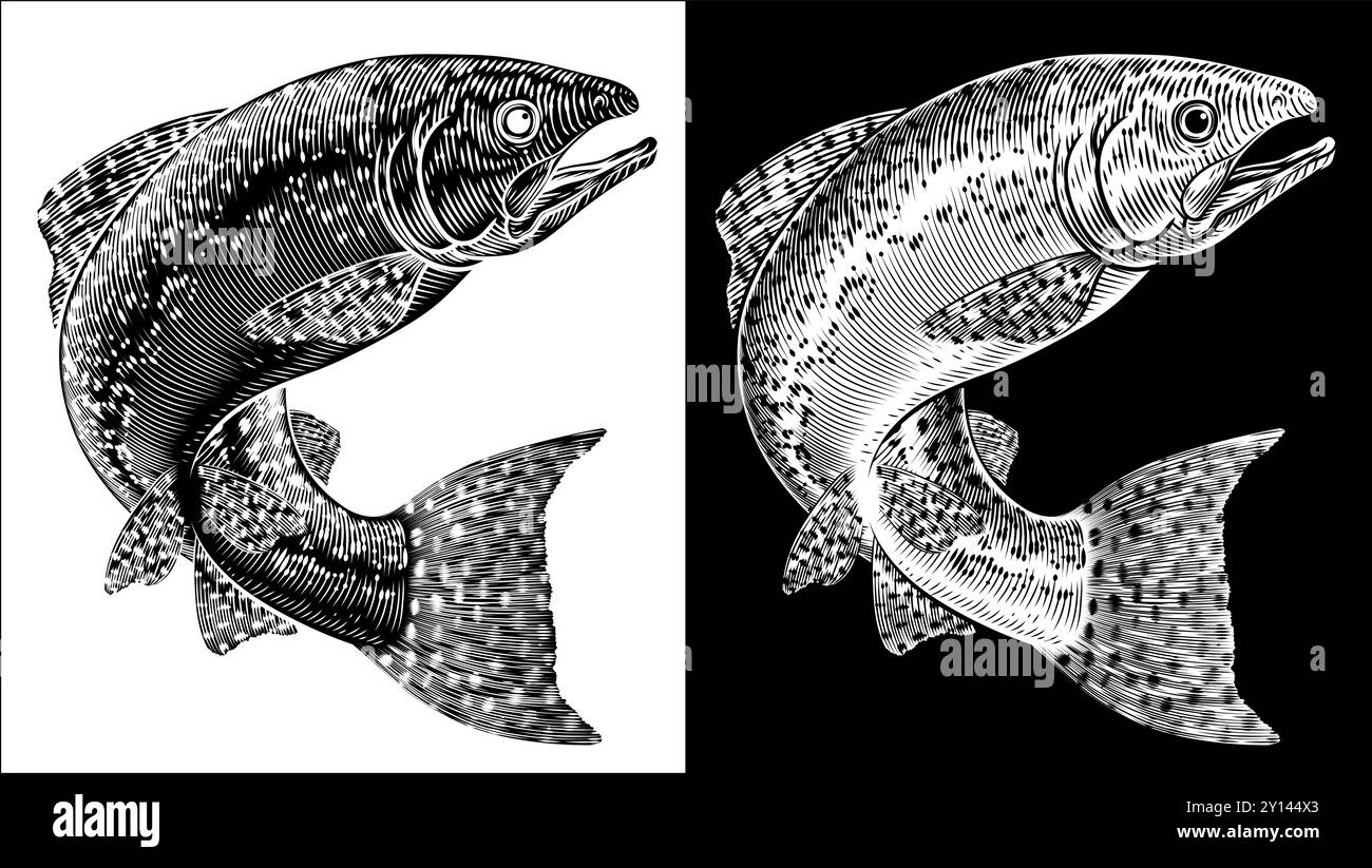 Salmon trout fish Black and White Stock Photos & Images - Alamy