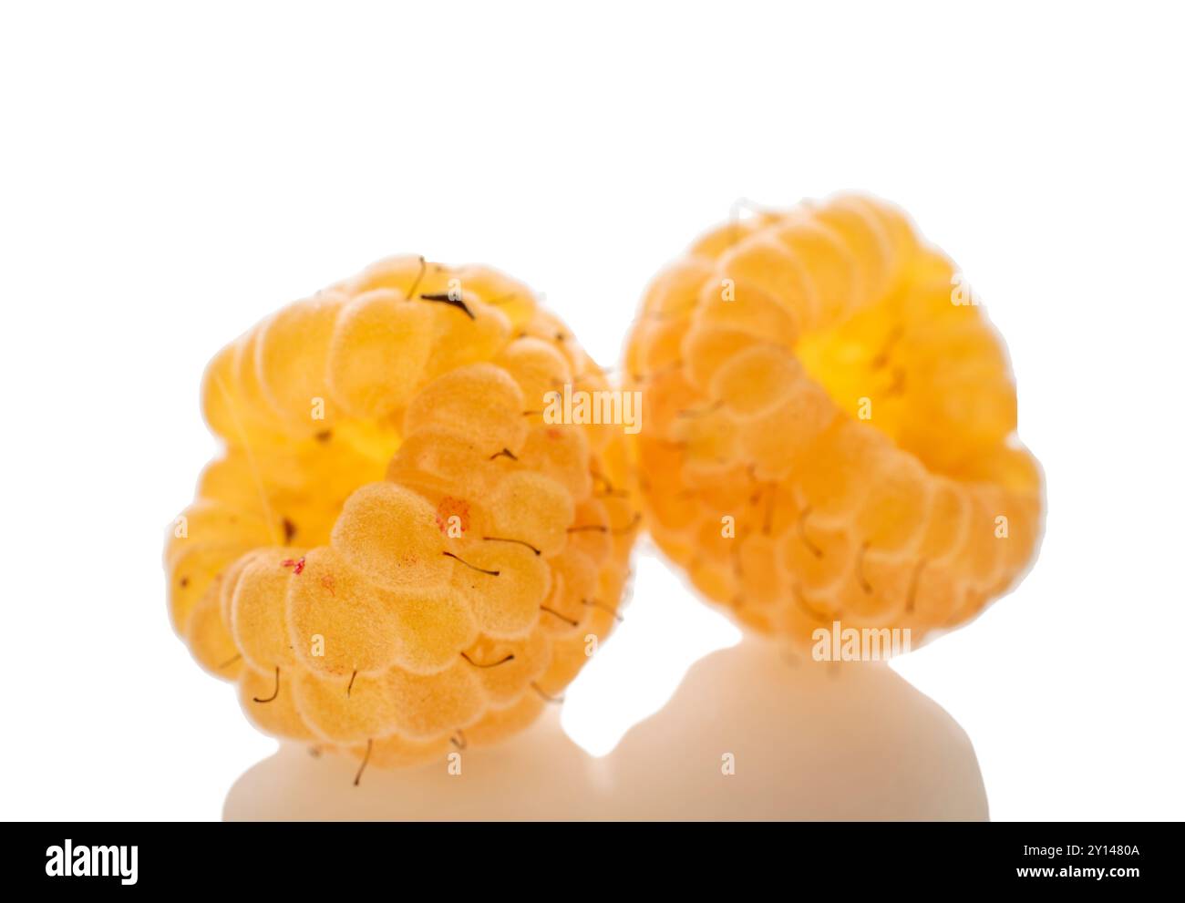 Two raspberry berries, macro, isolated on white background Stock Photo ...