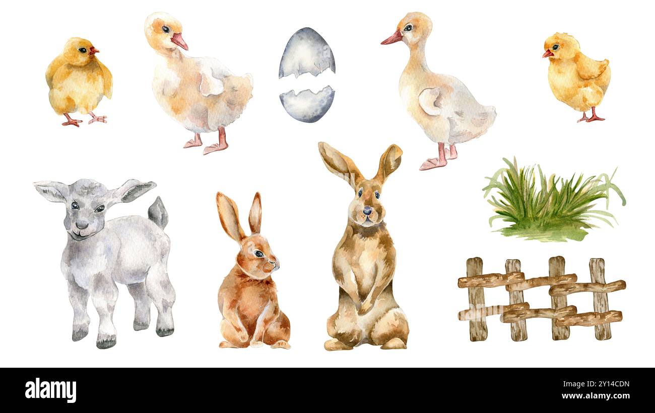 Easter animals set of fluffy chicks, ducklings, bunnies, and a lamb ...