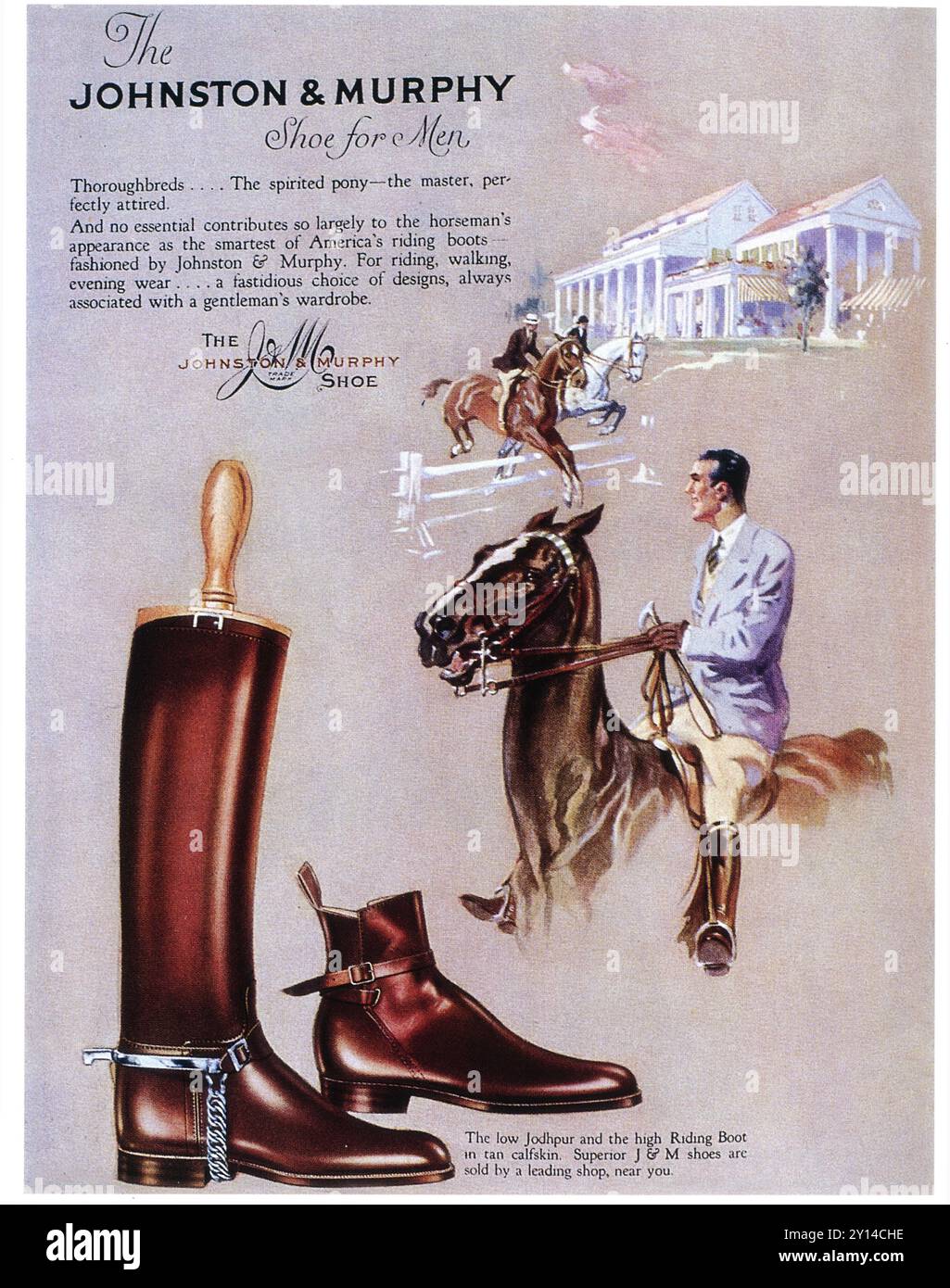 Murphy a Cut Out Stock Images & Pictures - Alamy