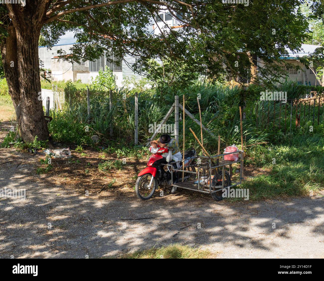 Thailand. 31st Aug, 2024. A local farmer is seen taking a nap on his ...