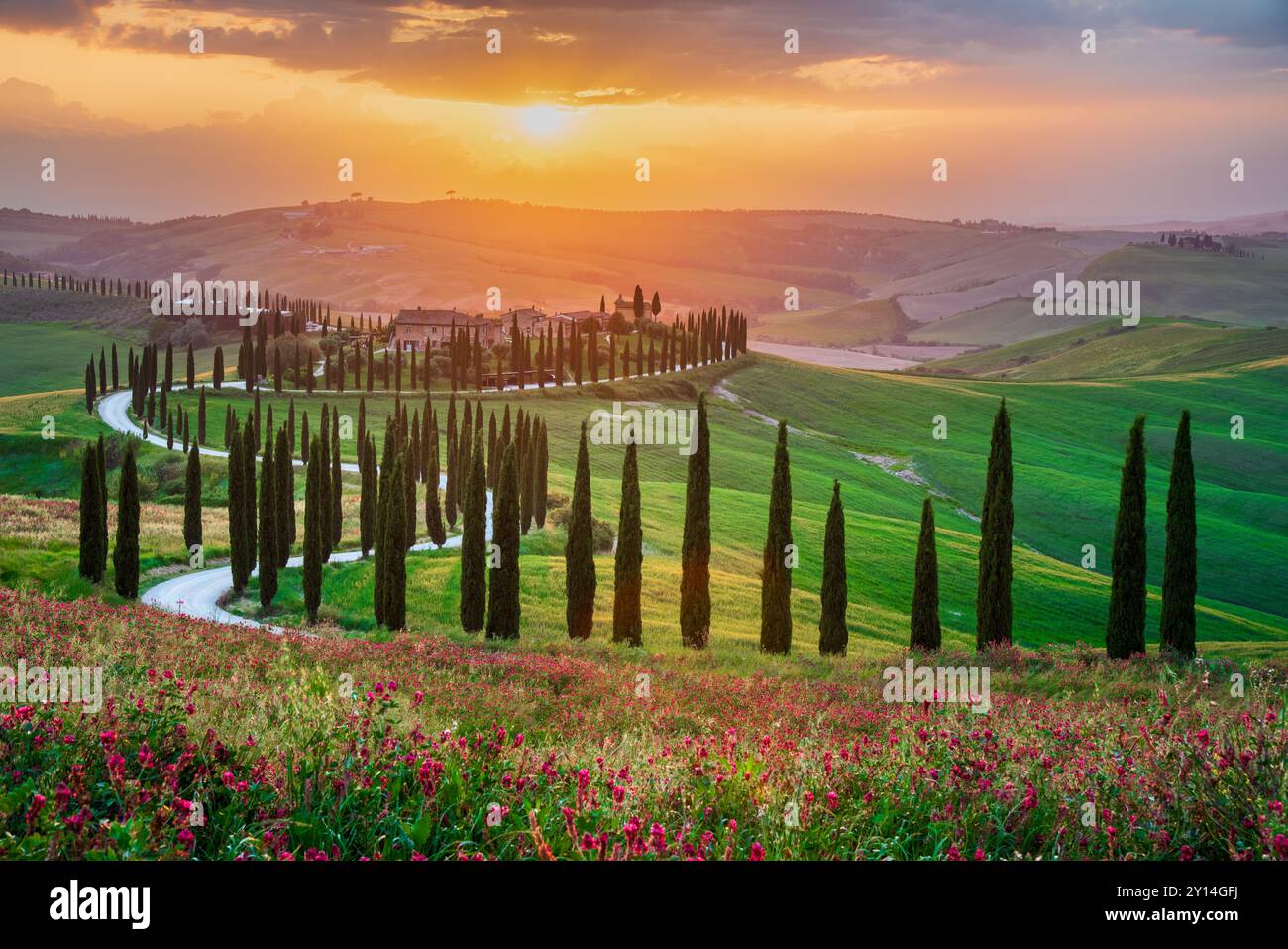 Italy tuscany cypress landscape hi-res stock photography and images - Alamy