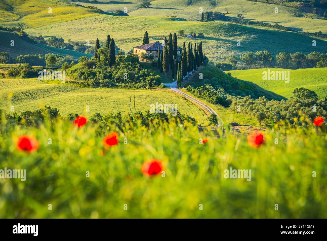Val d'Orcia, Tuscany. Podere in San Quirico d'Orcia, beautiful spring ...