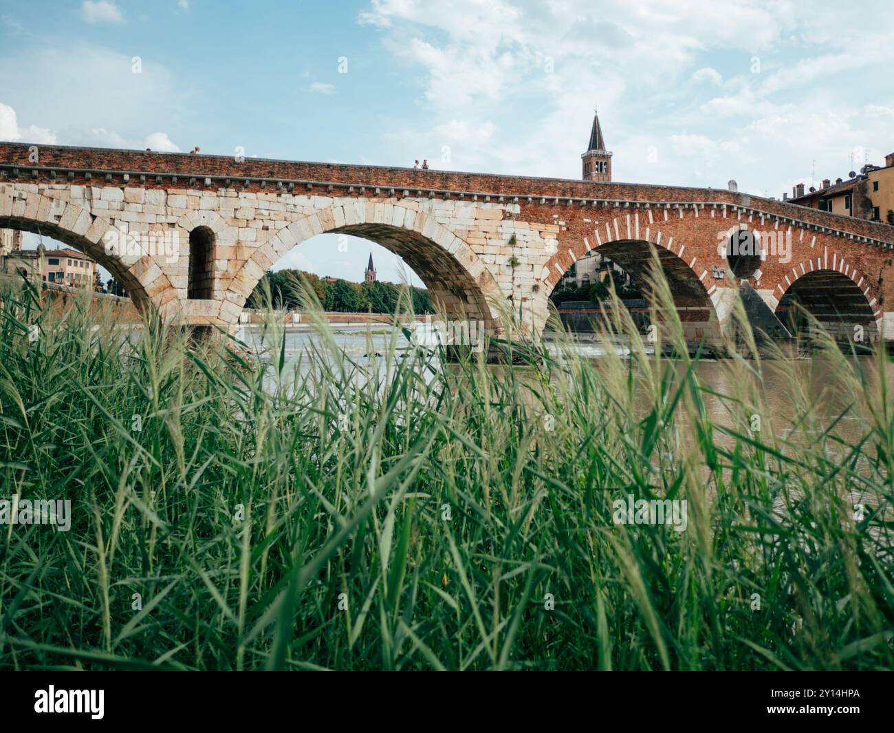 Serene cobblestone bridge framed greenery hi-res stock photography and ...