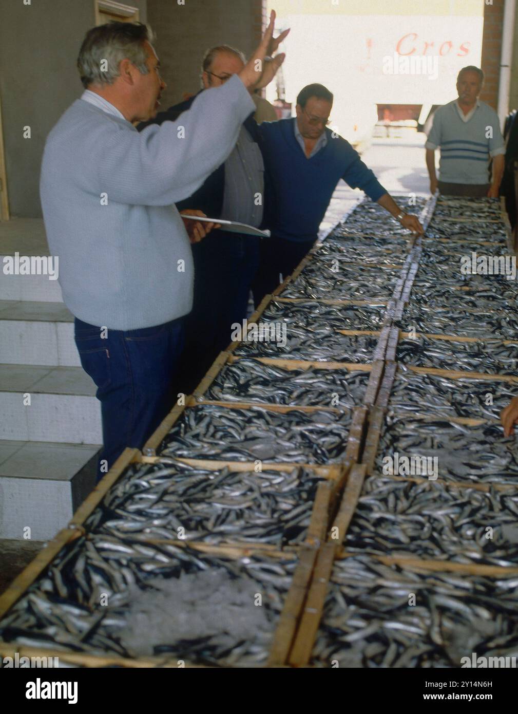 Pescado de anchoa hi-res stock photography and images - Alamy
