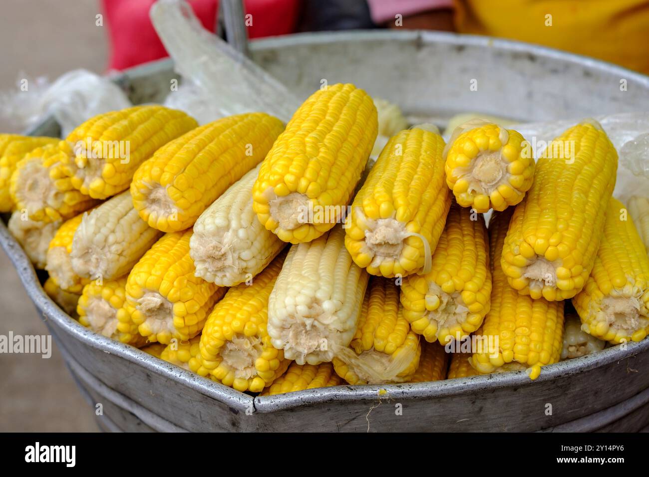 Boiled corn cobs, San Gaspar Chajul, Quiché department, Triángulo Ixil ...
