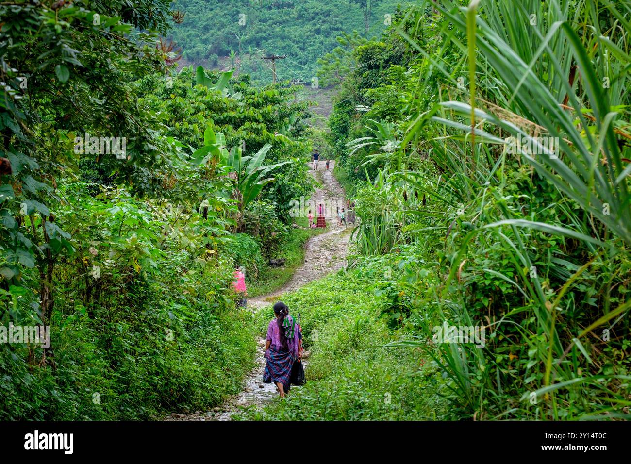 Little Treasure Road, -Tesoro Chiquito- La Taña, Northern Transversal ...