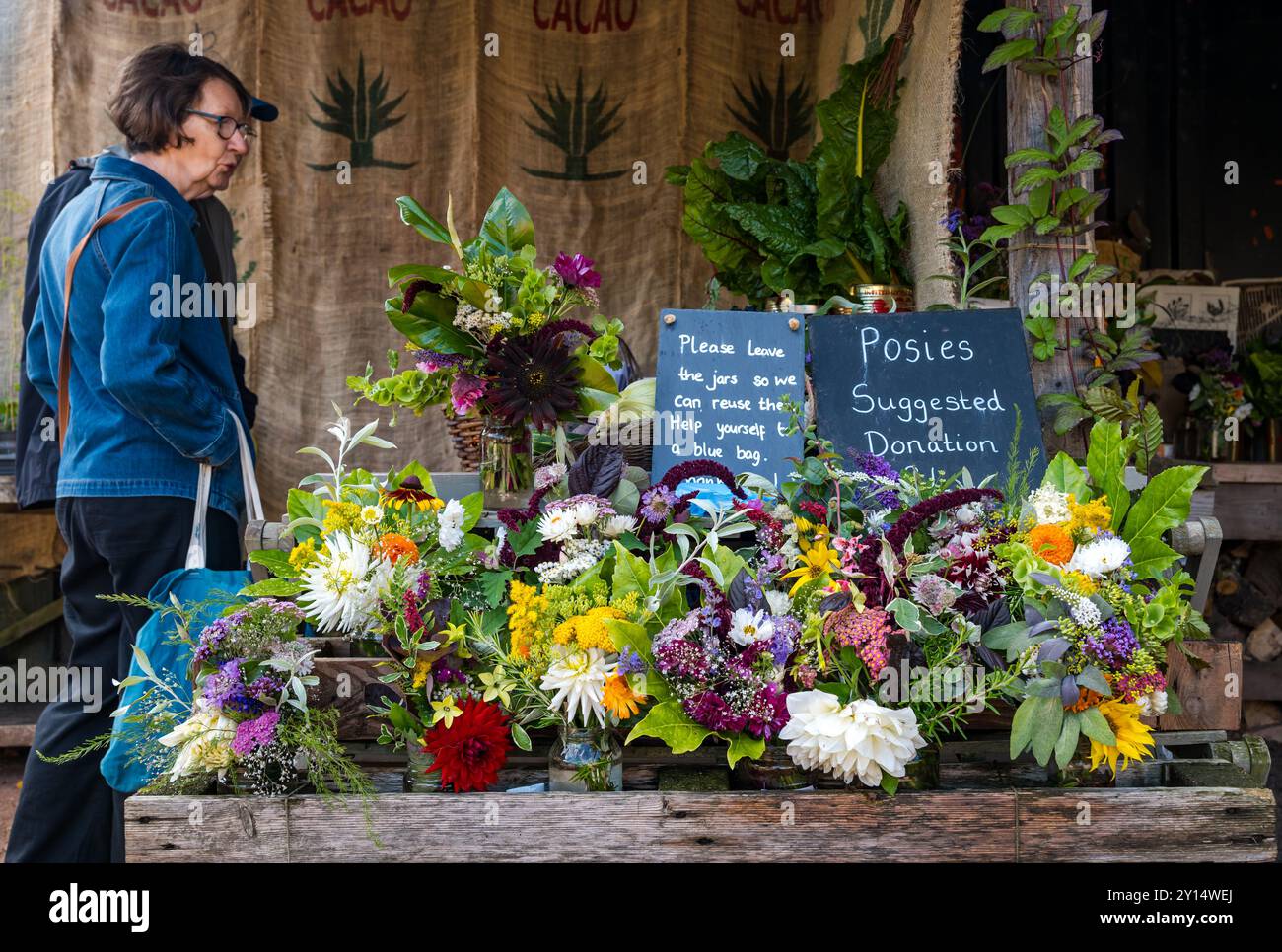 Posies hi-res stock photography and images - Alamy