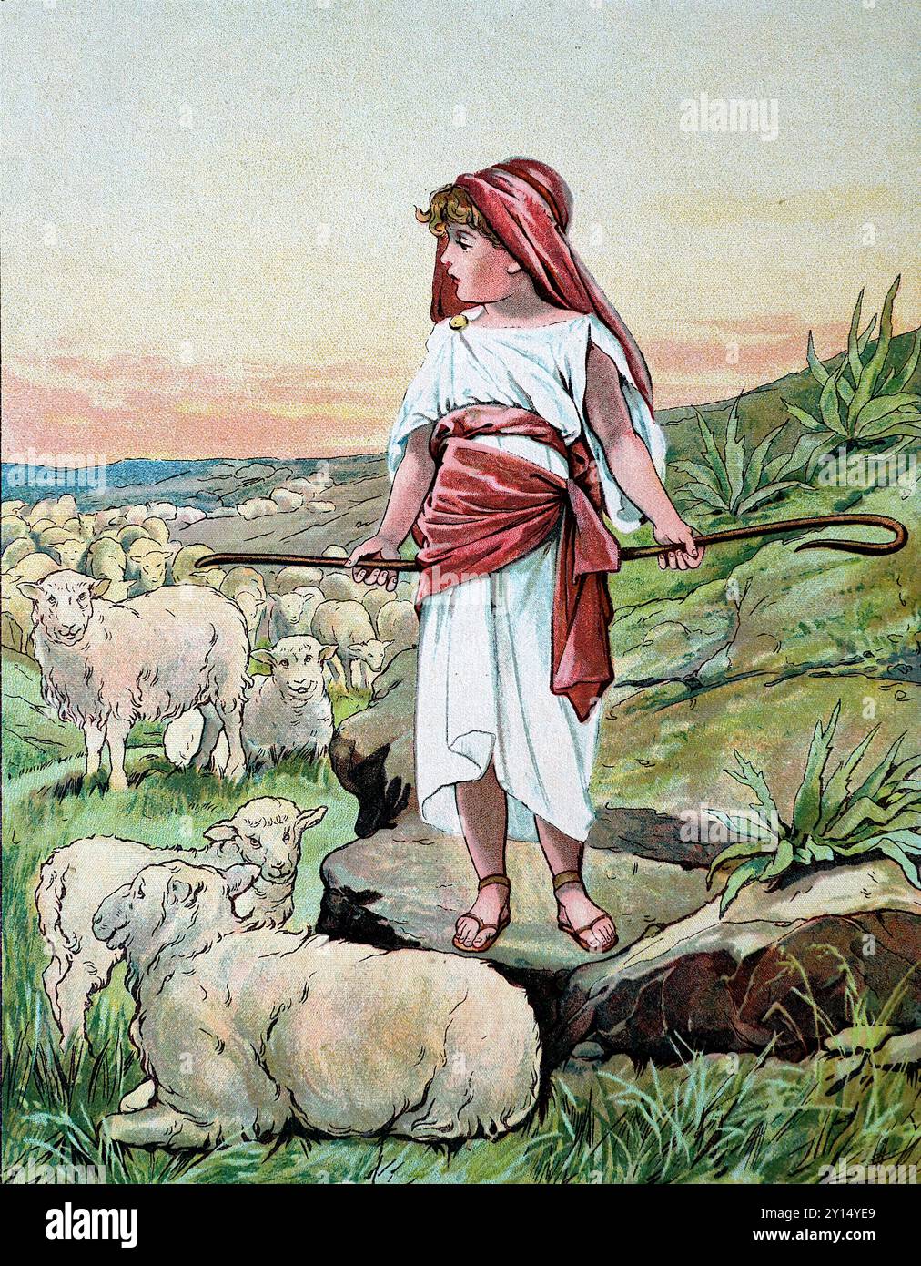 David: The boy David the Shepherd, standing on a rock with a staff ...