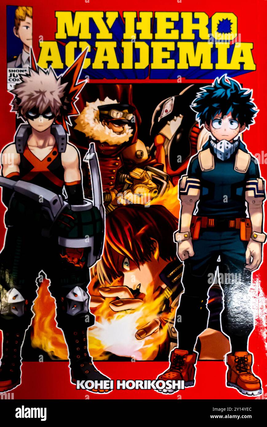 My Hero Academia, Volume 13 By Kohei Horikoshi - 2017 Stock Photo - Alamy