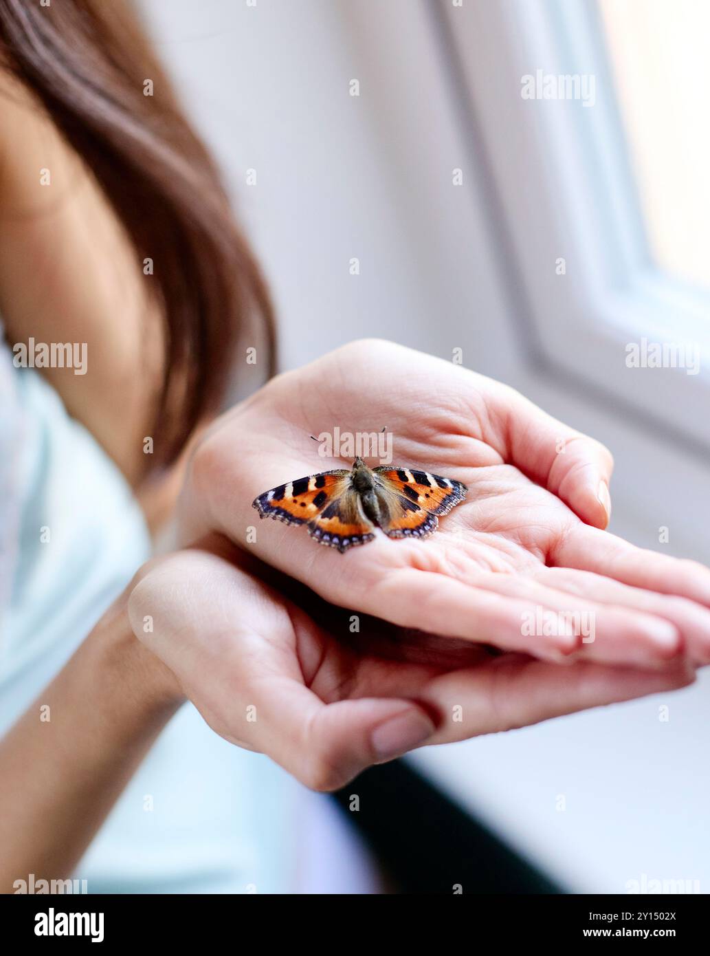 Girl holding a butterfly in her hand Stock Photo - Alamy