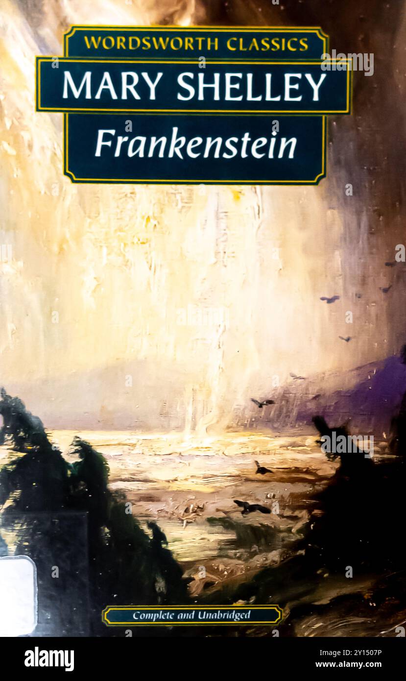Frankenstein book cover hi-res stock photography and images - Alamy