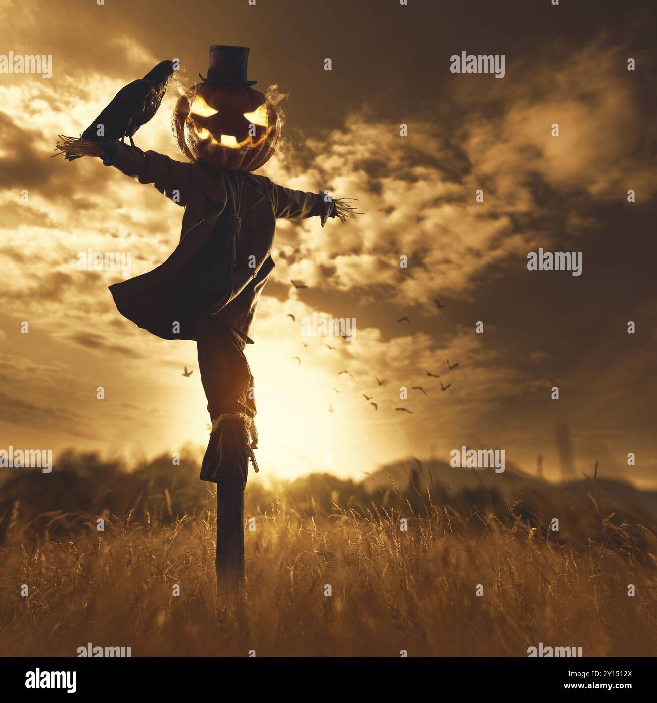 Spooky Halloween scarecrow with pumpkin head in the fields at sunset ...