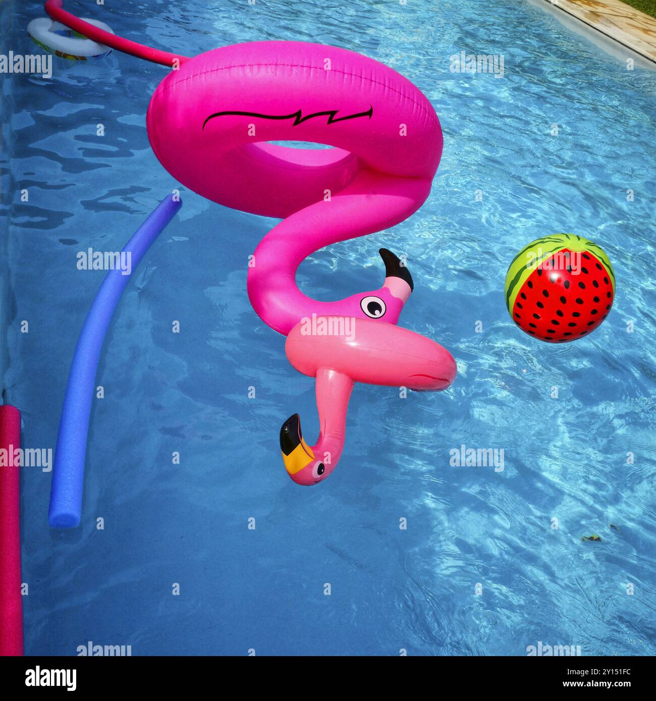 Colorful inflatable flamingos and balls floating in a sunny swimming ...