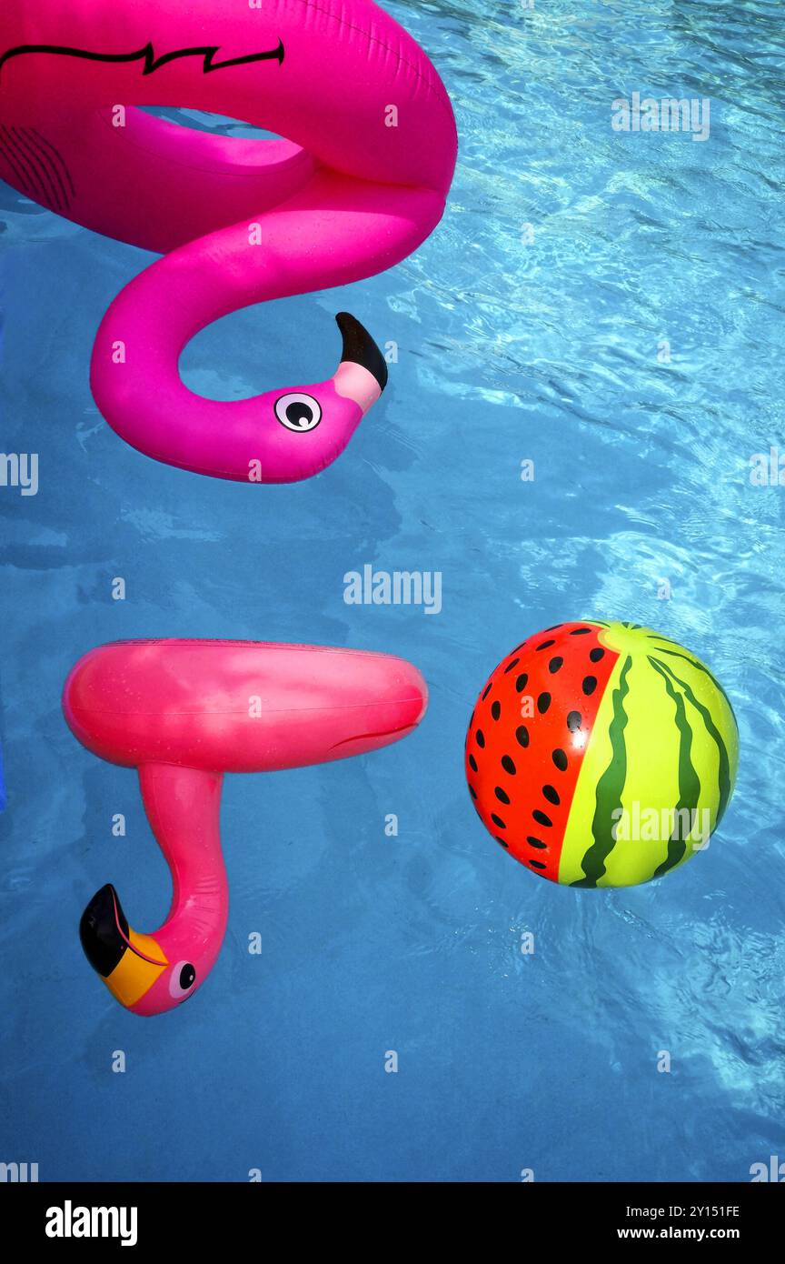 Colorful inflatable flamingos and balls floating in a sunny swimming ...