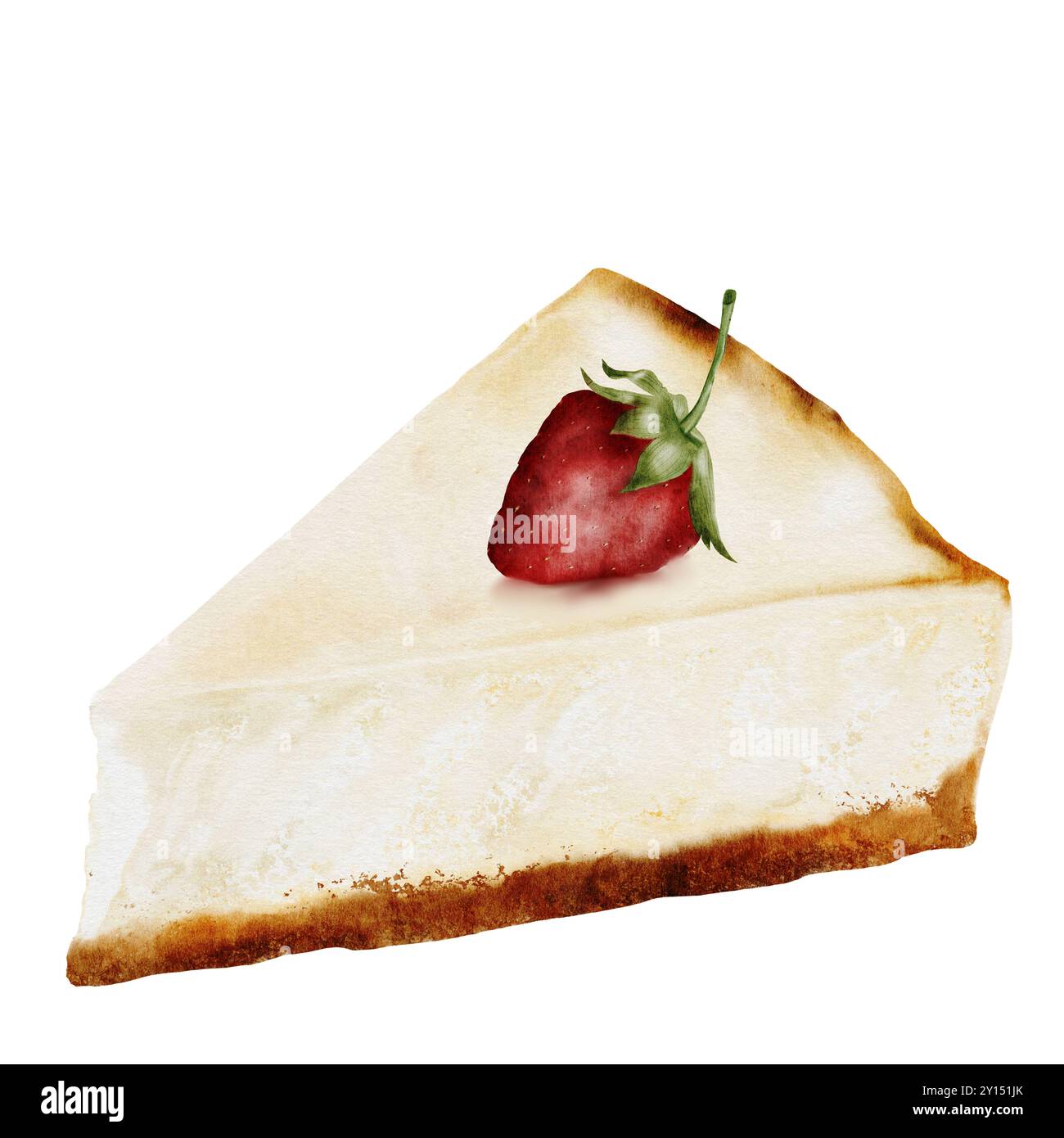 Classic cheesecake. Watercolor illustration of New York cheesecake on ...