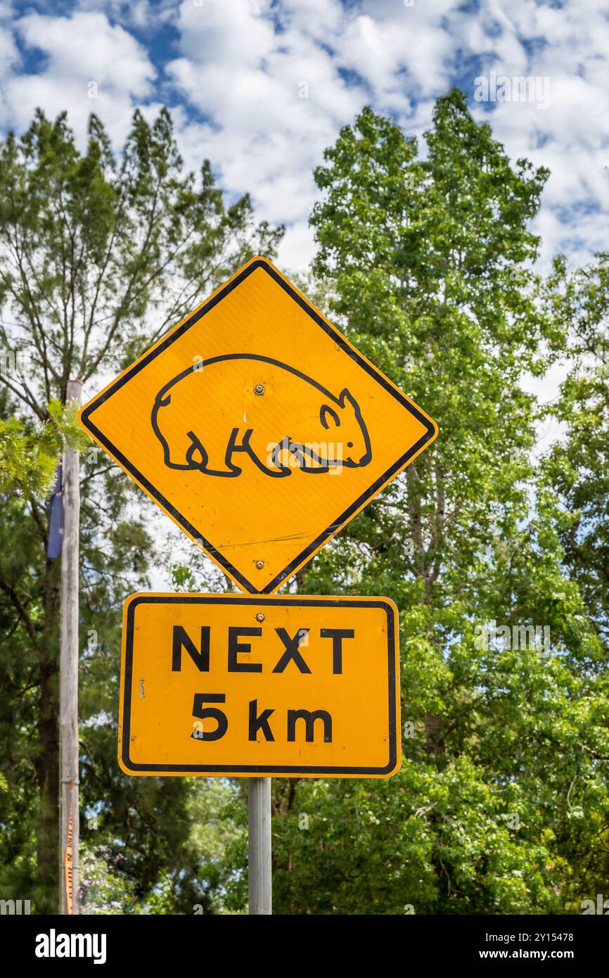 A bright yellow caution sign alerts drivers to watch for wombats over ...