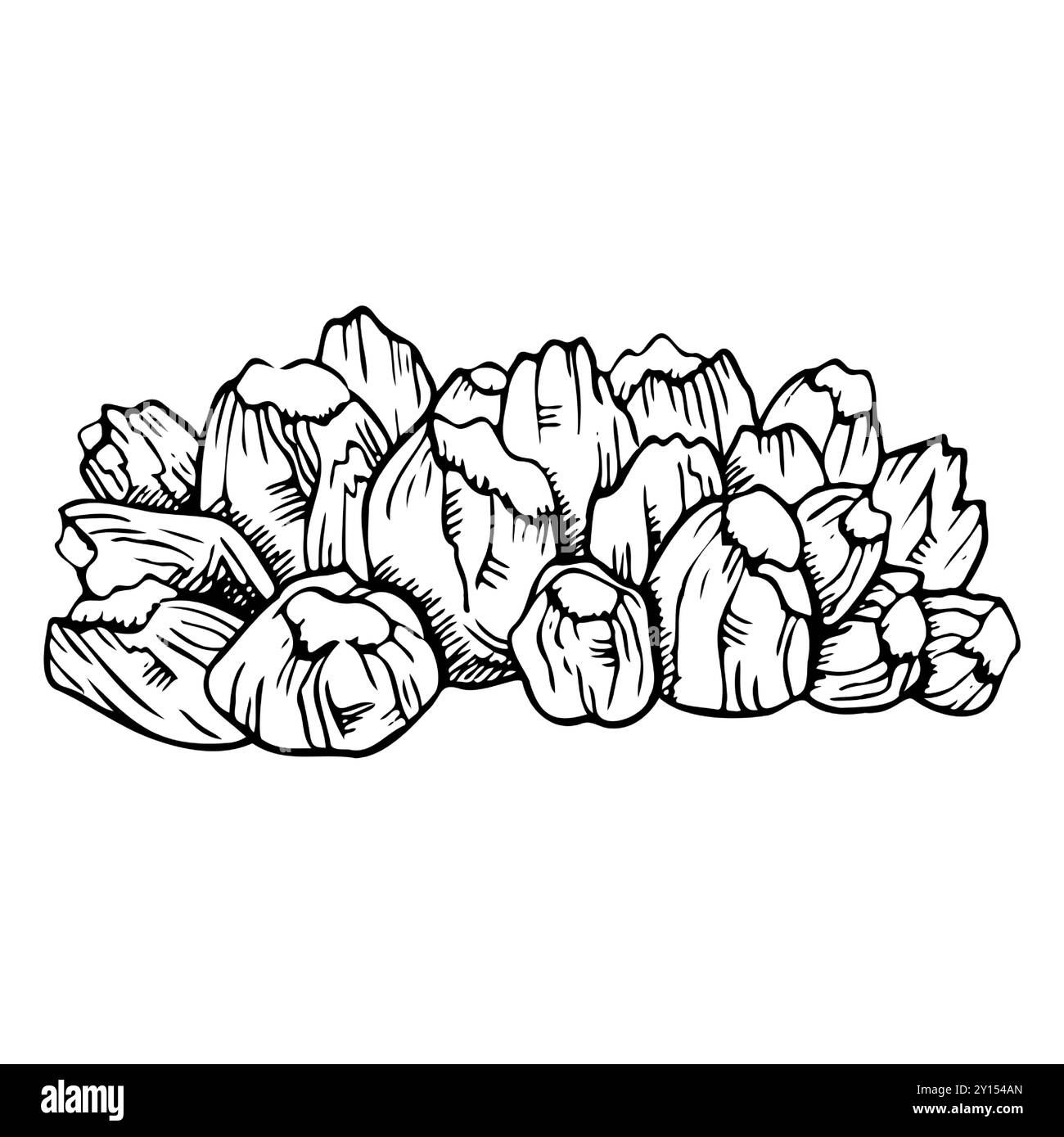 Barnacles barnacles shells Stock Vector Images - Alamy