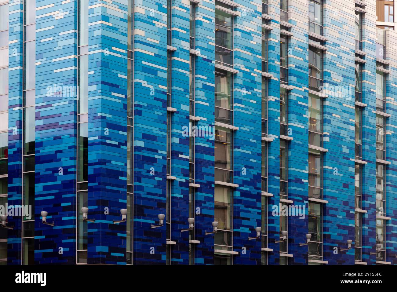 Battersea Dogs and Cats Home, veterinary hospital, training and ...