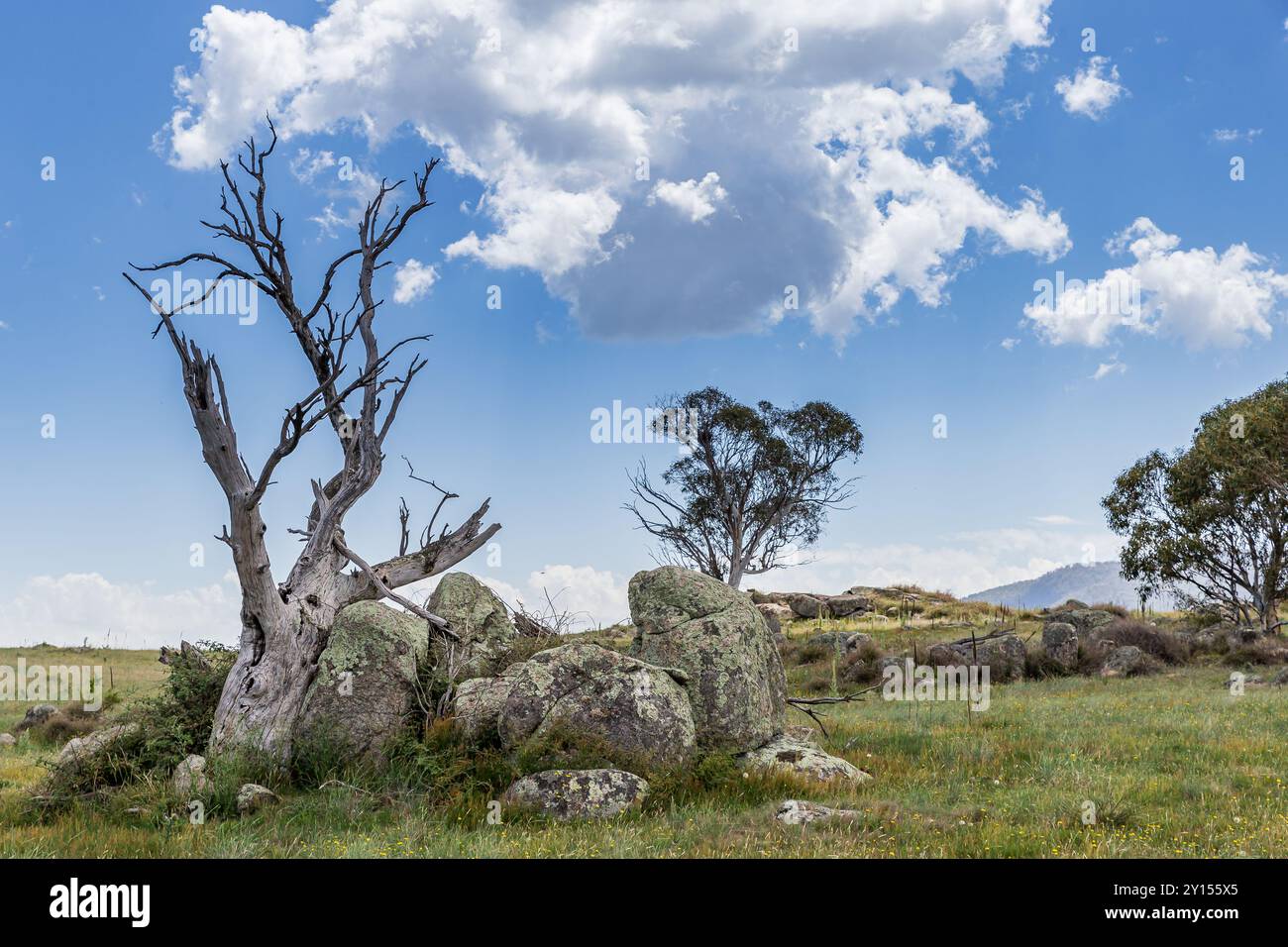 A tranquil moment in Namadgi National Park reveals a striking landscape ...