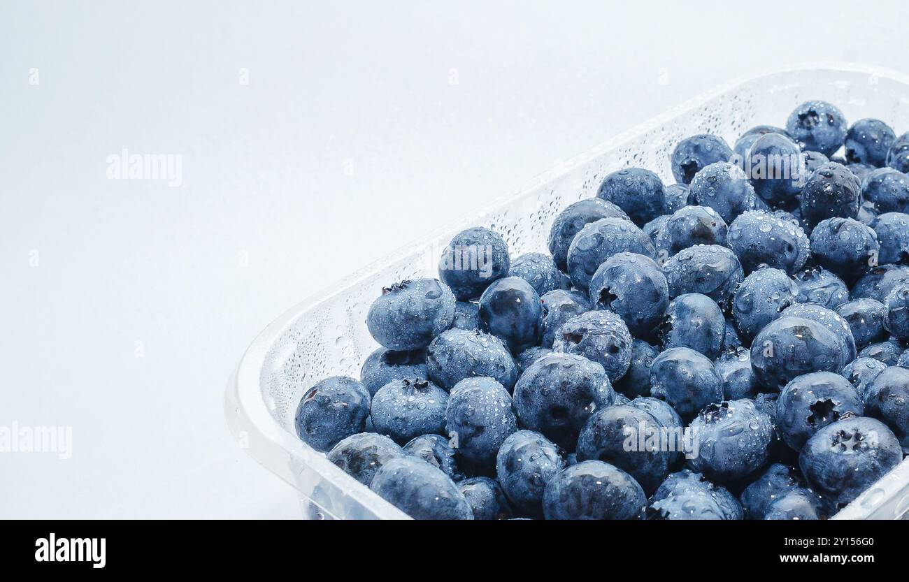 Side view box with fresh blueberries isolated on white. Concept of ...