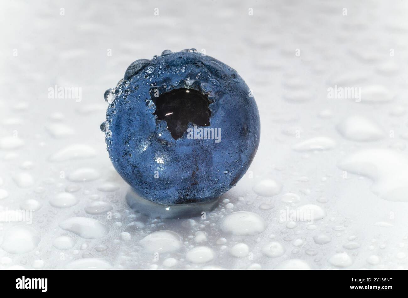 One purple blueberry berry. Isolated on white background. With drops of ...