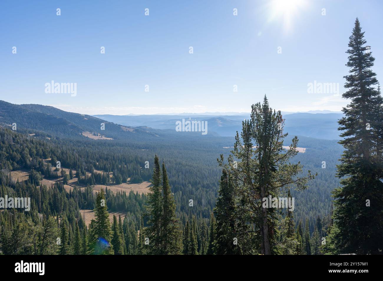 Stunning views from atop Mt. Washburn overlooking Yellowstone National ...