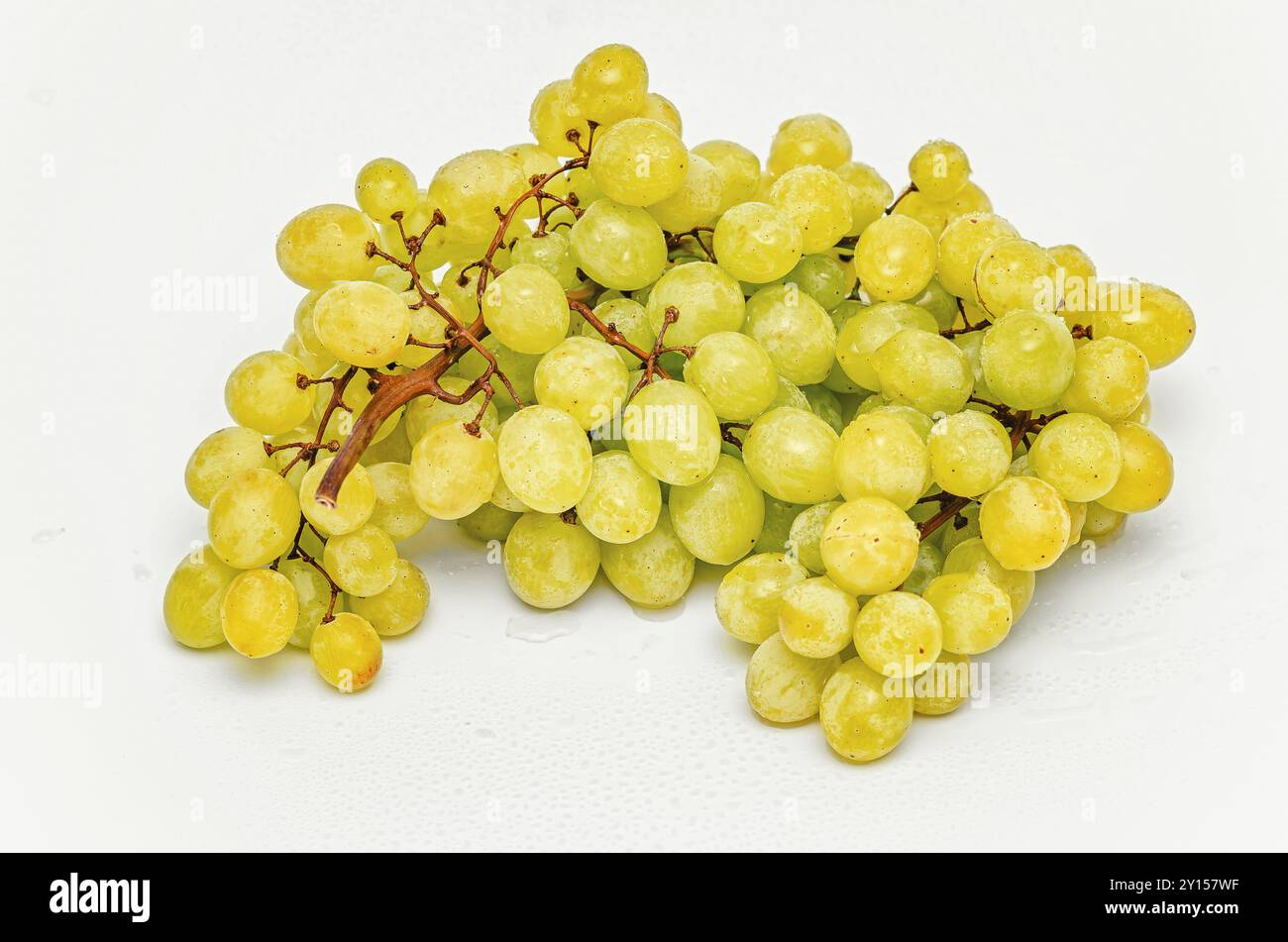 Juicy big bunch of green grapes on white background. View top ...