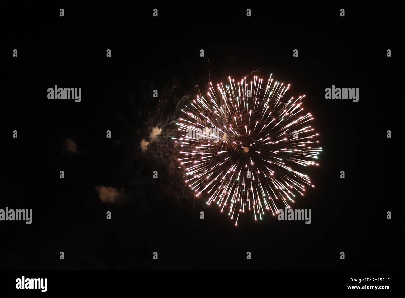 Color Firework in the night sky Stock Photo - Alamy
