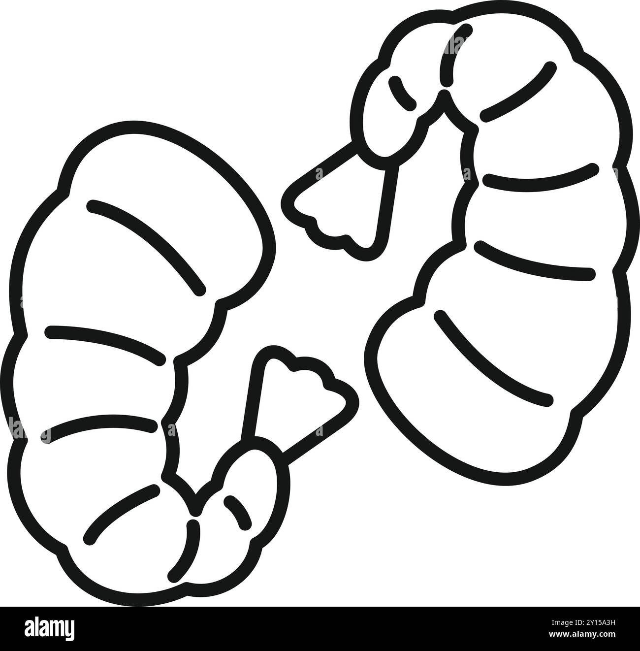 Simple black and white line drawing of two cooked shrimps facing each ...