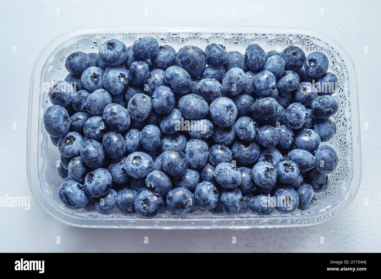 Box with fresh blueberries isolated on white. Top view. Concept of ...