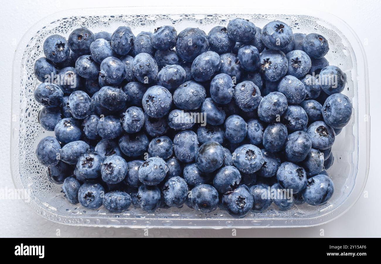 Box with fresh blueberries isolated on white. Top view. Concept of ...