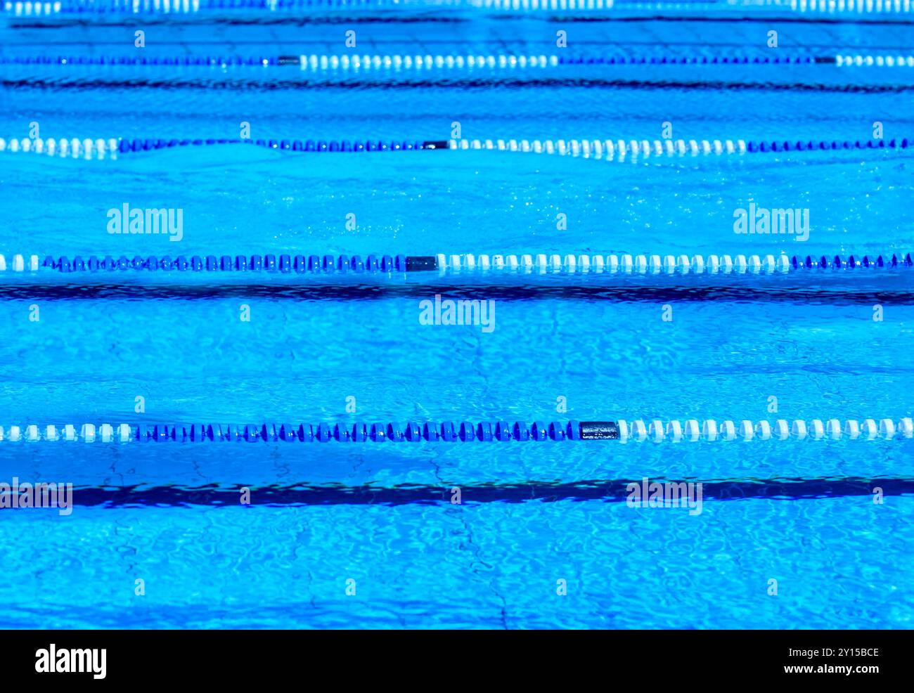 empty Olympic swimming pool , blue water , rope pool dividers design ...