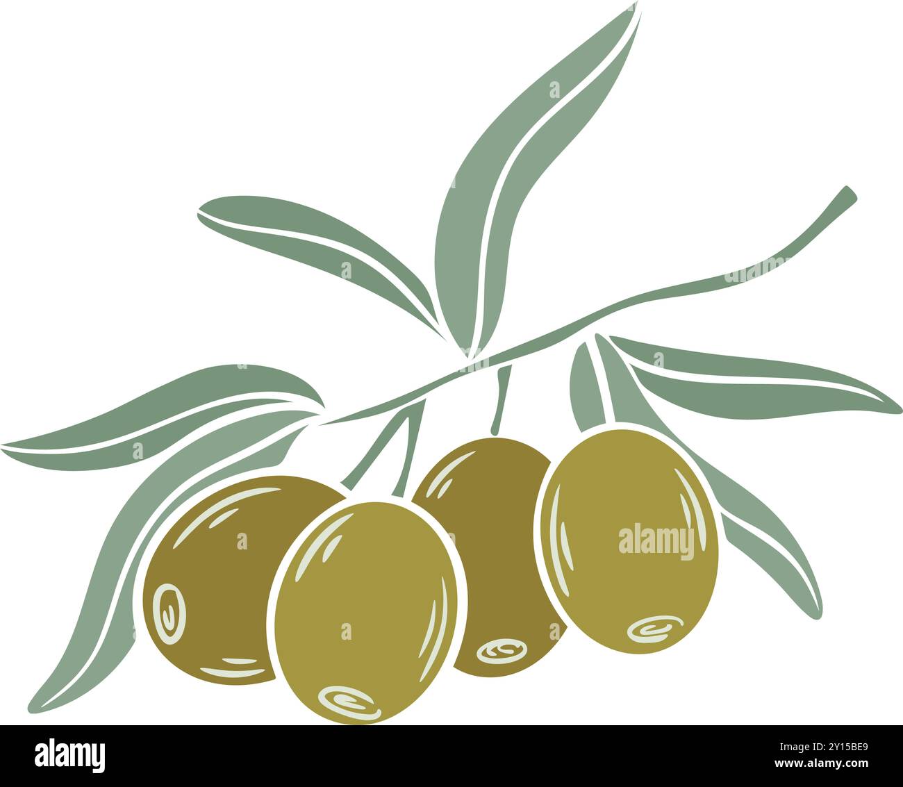 Fresh Green Olives On Branch With Leaves Colored Silhouette Simple