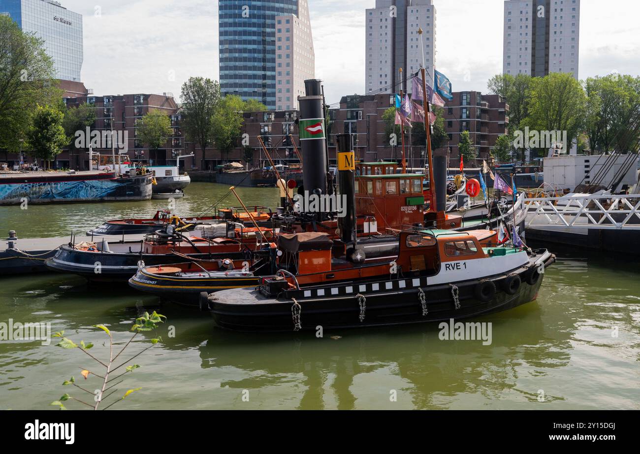 Rotterdam Maritime museum and Leuvehaven, historic ships, boats and ...