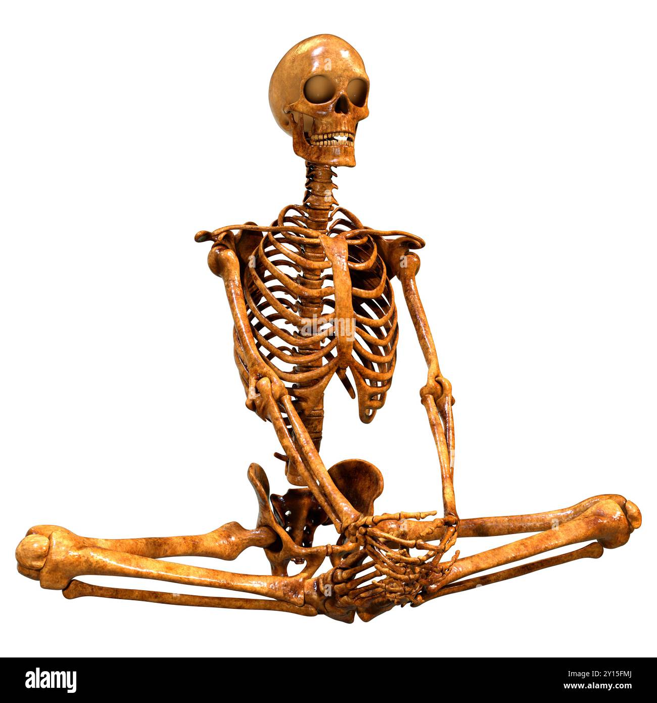 3D rendering of a human skeleton isolated on white background Stock ...