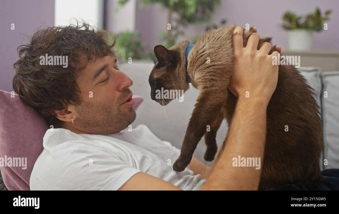 Young man affectionately pets siamese hi-res stock photography and ...