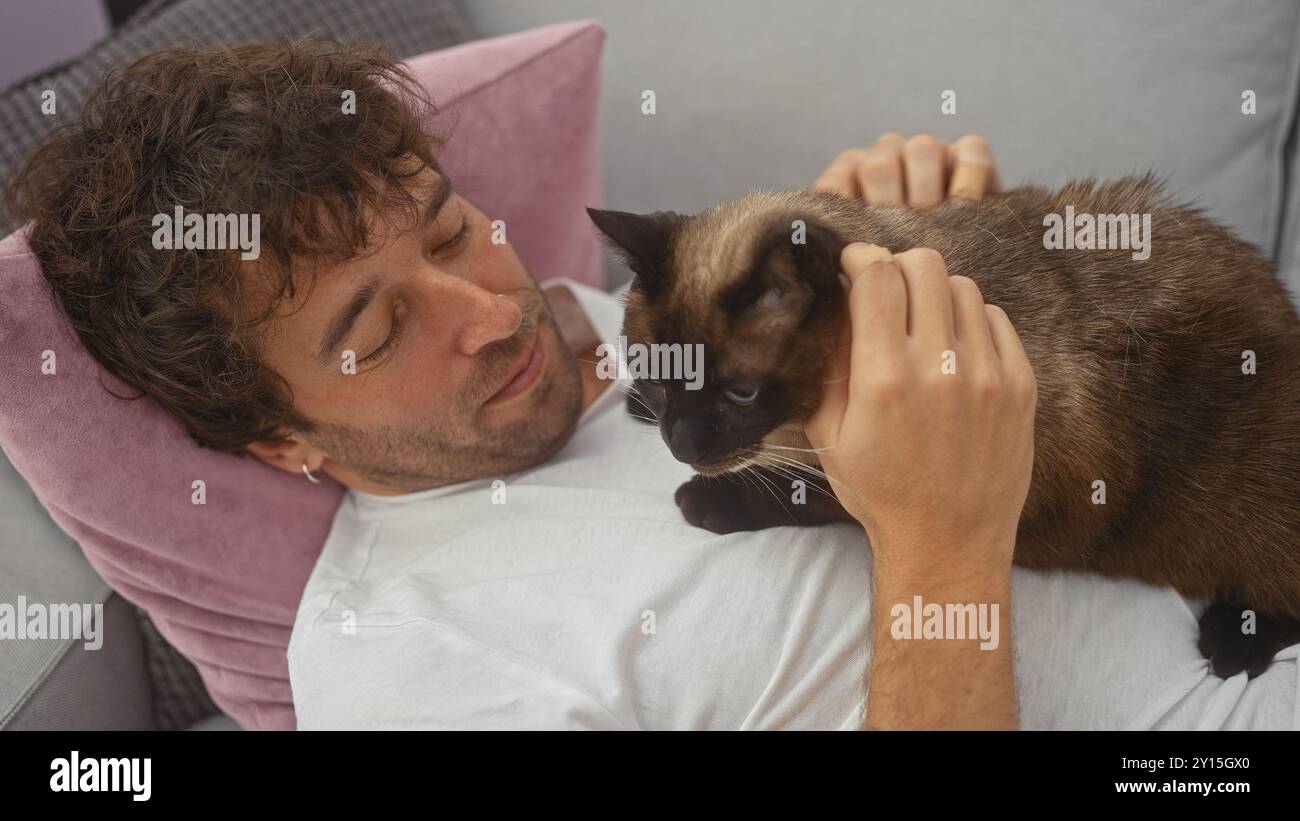Young man gently pets siamese hi-res stock photography and images - Alamy
