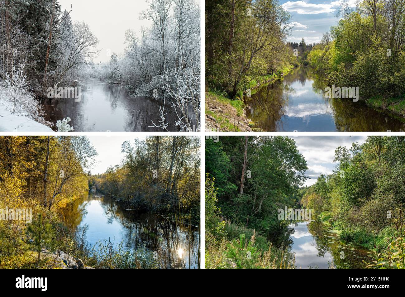 Beautiful collage of 4 seasons year round, different pictures but same ...